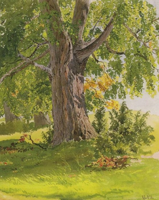 How to Paint Trees (Detailed Guide) - Draw Paint Academy