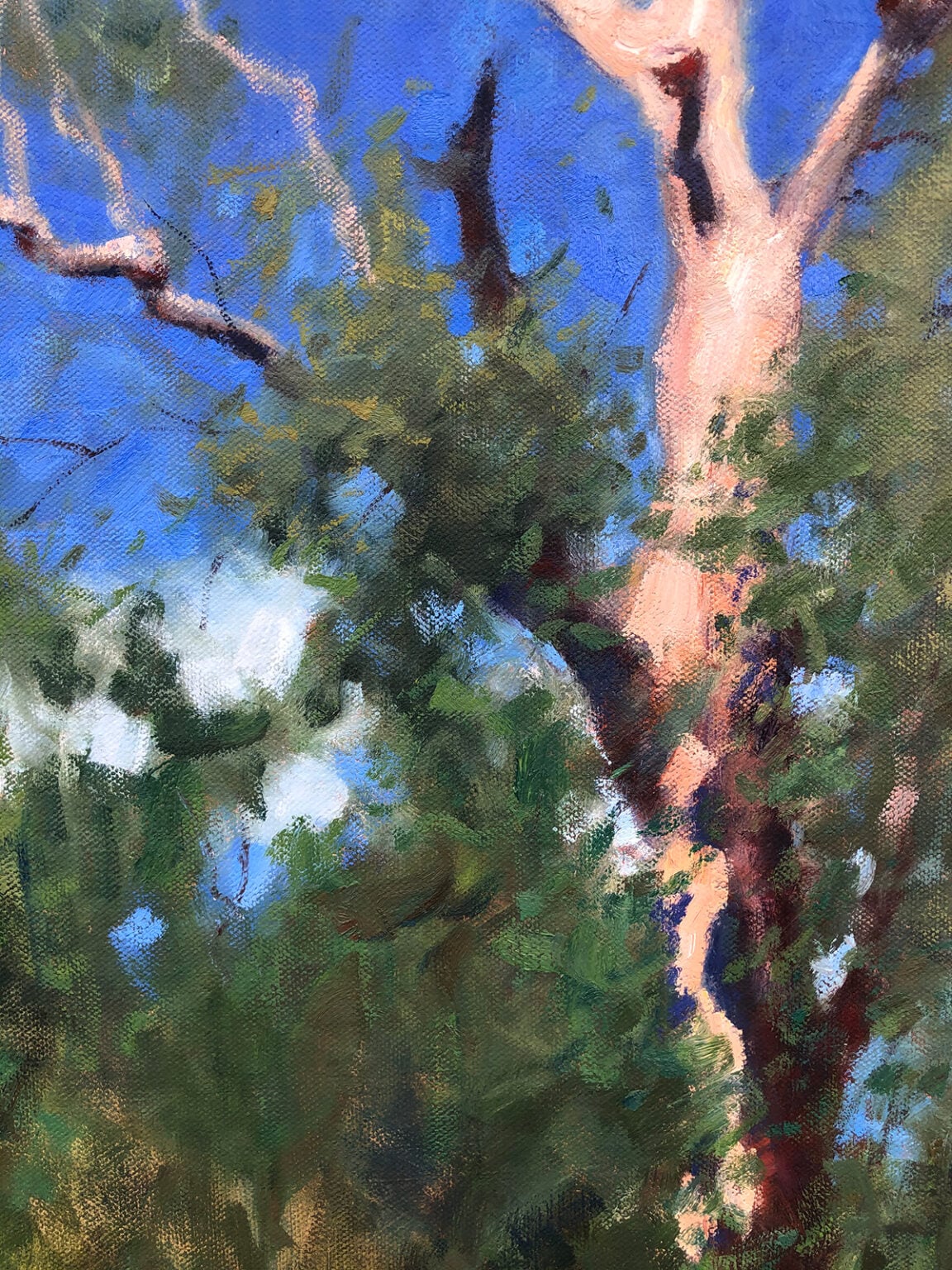 Tree in Perspective Step by Step Painting Tutorial - Draw Paint Academy