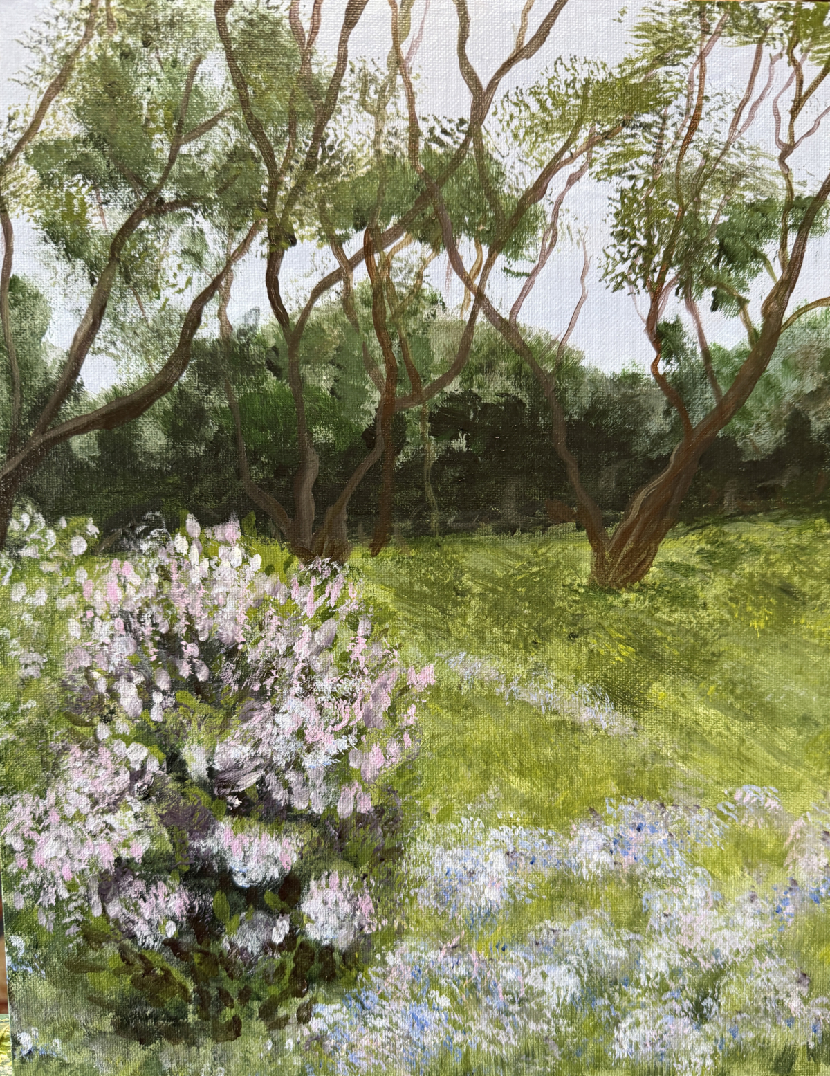 Painting the Landscape: Student Showcase