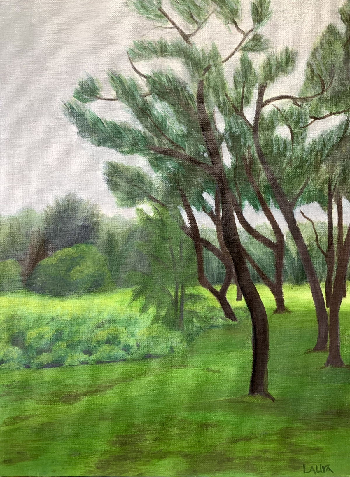 Student Gallery - Draw Paint Academy