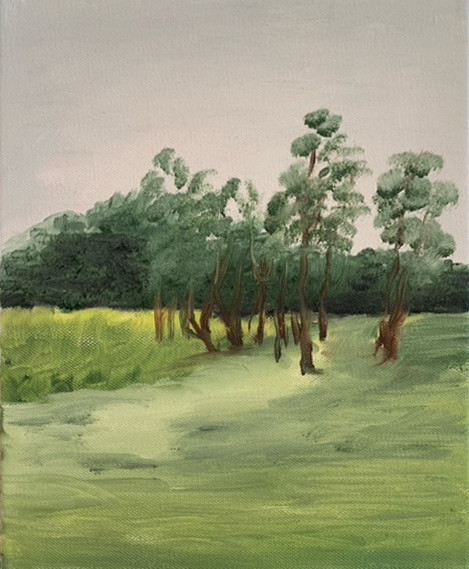 Student Gallery - Draw Paint Academy