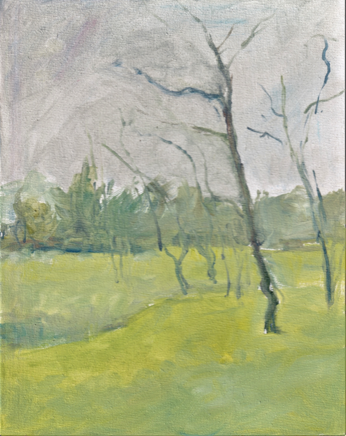 Student Gallery - Draw Paint Academy