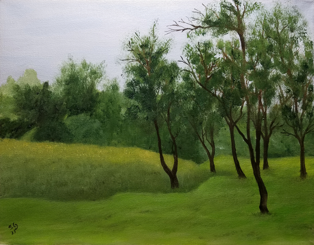 Student Gallery - Draw Paint Academy